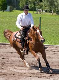 Sport : Reiten: Reitarten