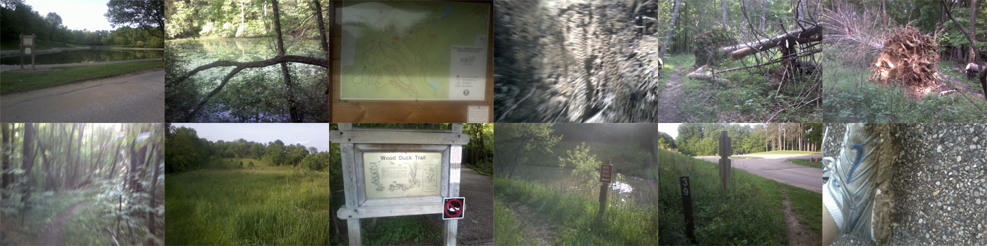 The Sketchpad: Mitchell Memorial Forest / Miami Whitewater (Day 6)