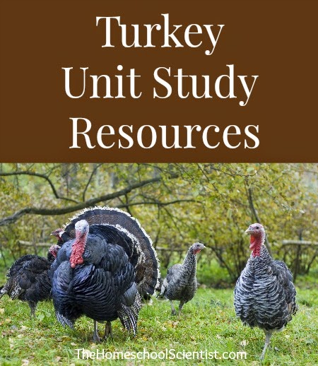 Learning As We Go: Turkey Unit Study