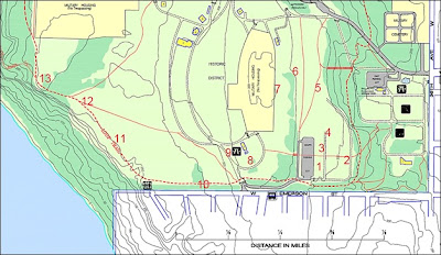 Flora and Fauna of Discovery Park: Walking Tour of Discovery Park: Overview