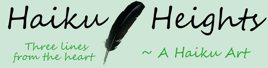 Scarlet Verses: Senryu: String