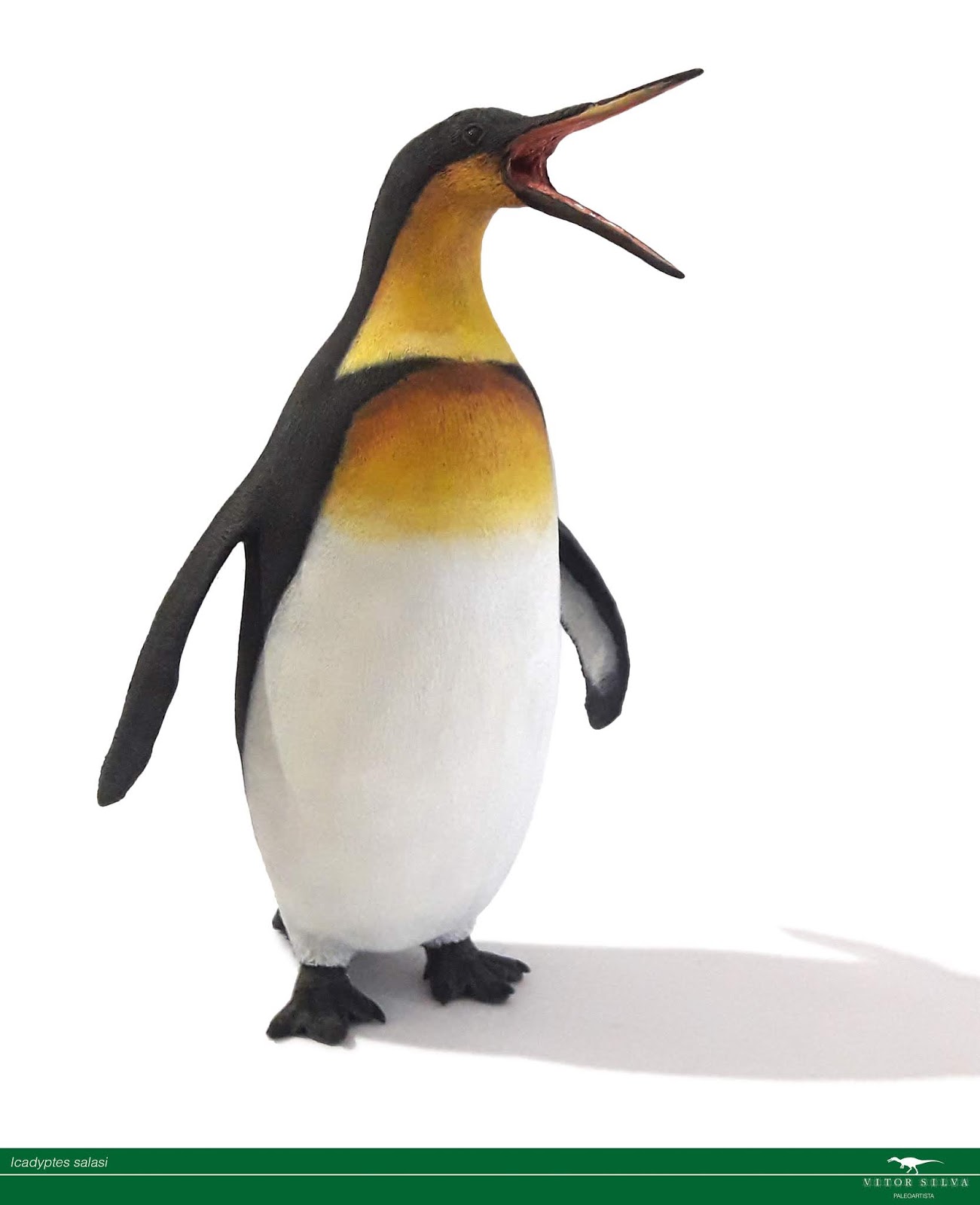 Vitor Silva - Paleoartista: Icadyptes