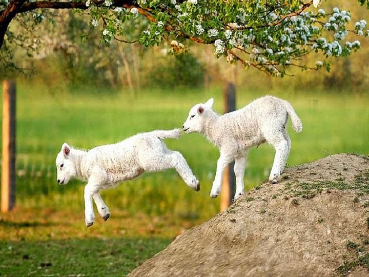 Alluring Planet: 2014