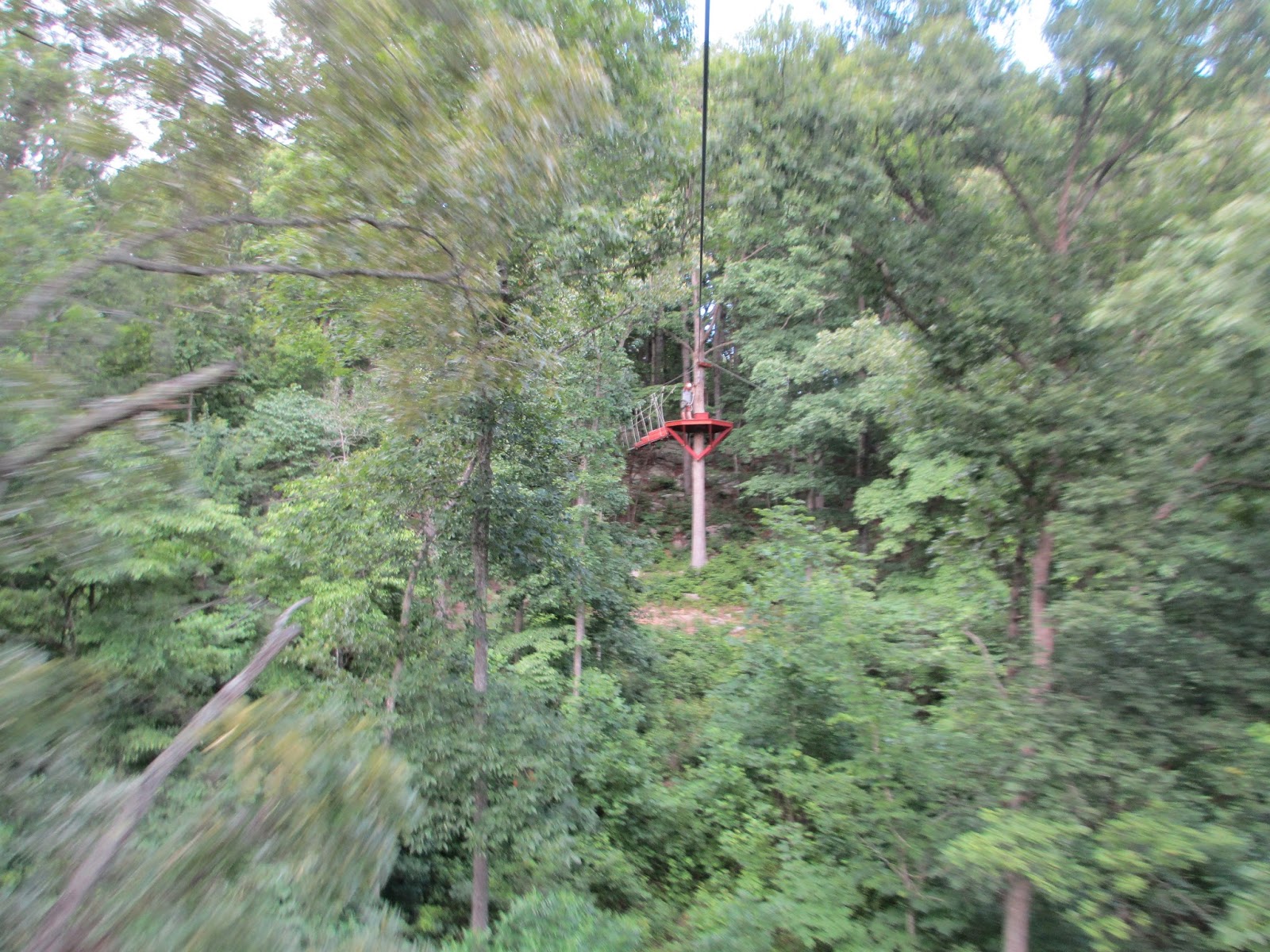 Ziplining Across the USA: Saturday June 29 Mammoth Cave Adventures Zipline