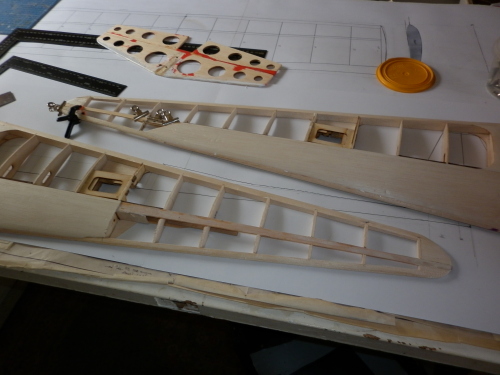 Wings N' Flying Things: Bird of Time