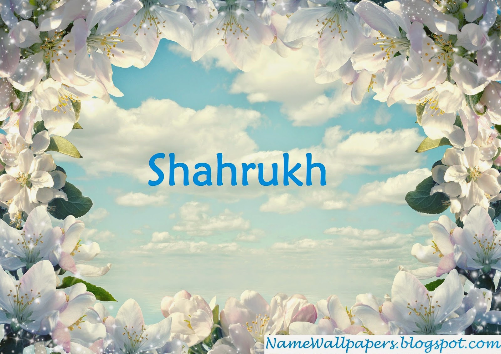 Shahrukh Name Wallpapers Shahrukh ~ Name Wallpaper Urdu Name Meaning ...