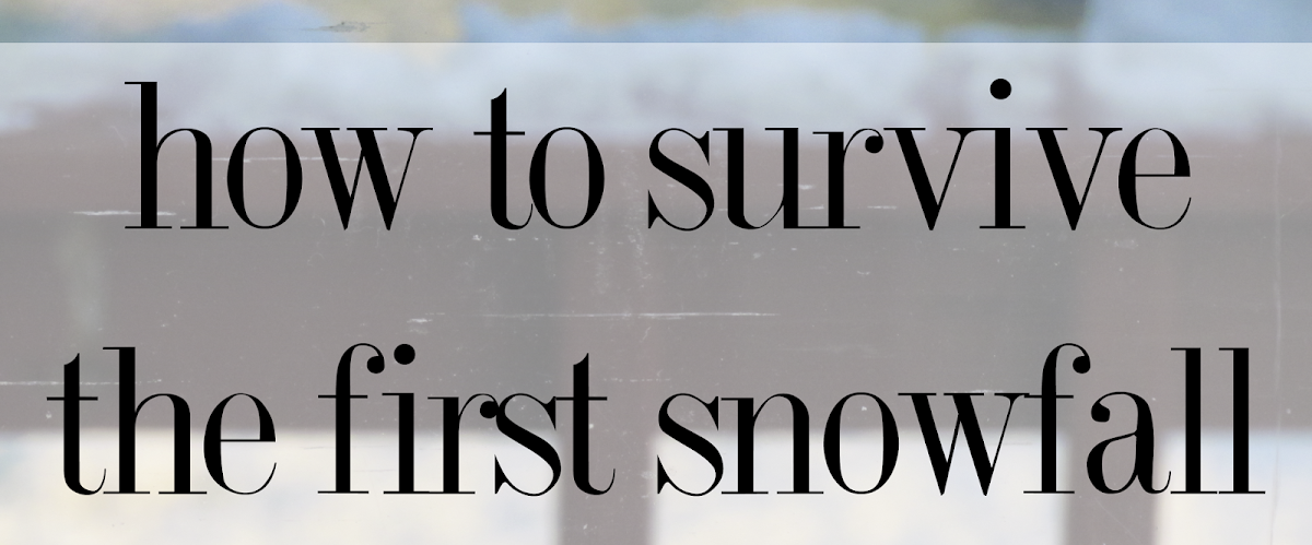 How to Survive the First Snowfall — life according to francesca