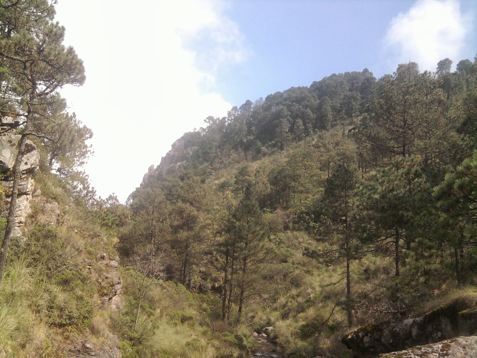 municipio de jilotzingo