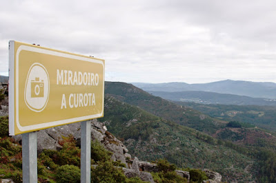 Sugar Baby Love: 2015