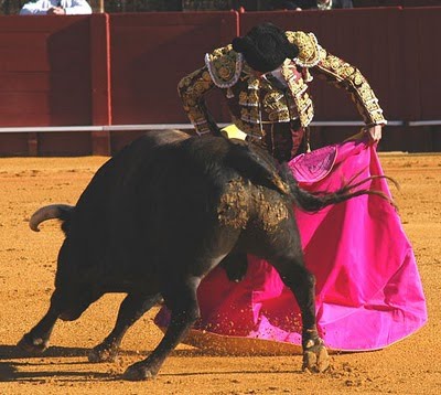 Toro de Regalo: El Toreo de Capa