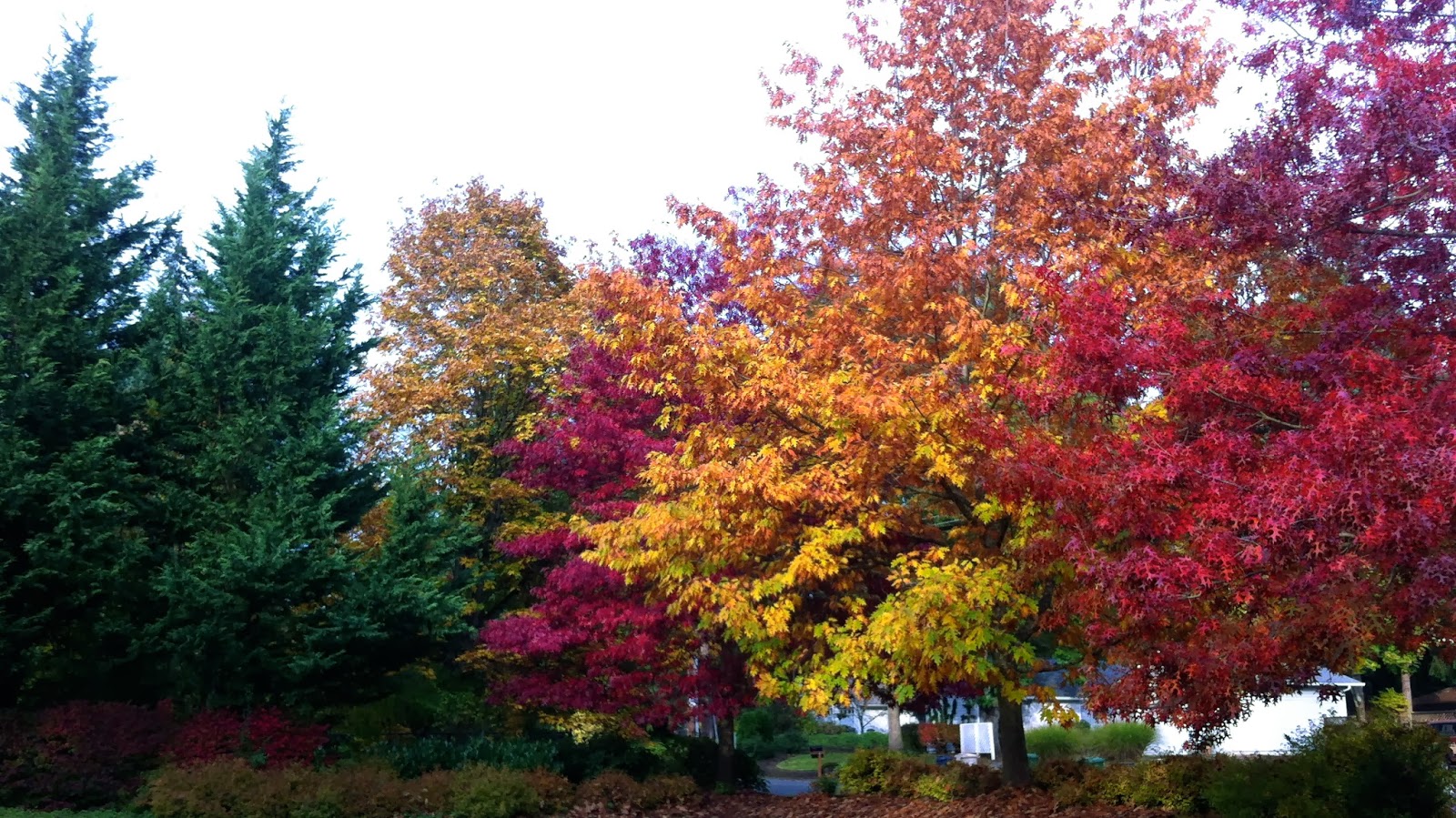 One Day, One Quote, One Photo.: 2013