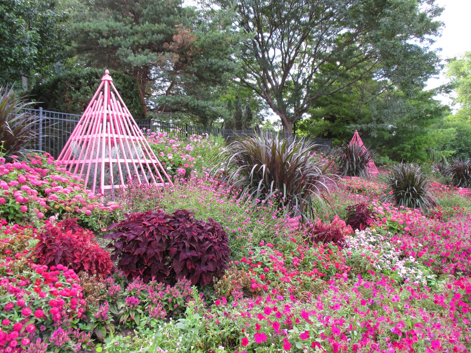 Rotary Botanical Gardens - Hort Blog: A Nice Pink Saturation