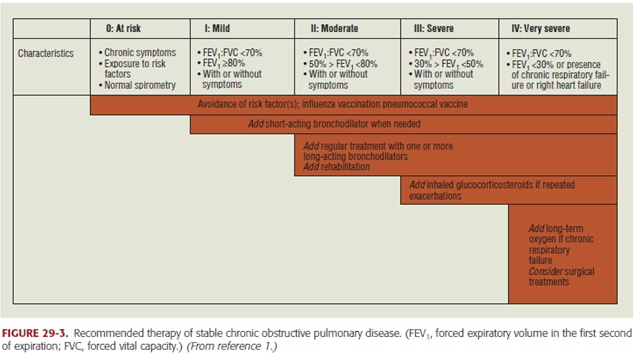 Mengepak fajar: Mengenal Lebih Dekat ‘PPOK’