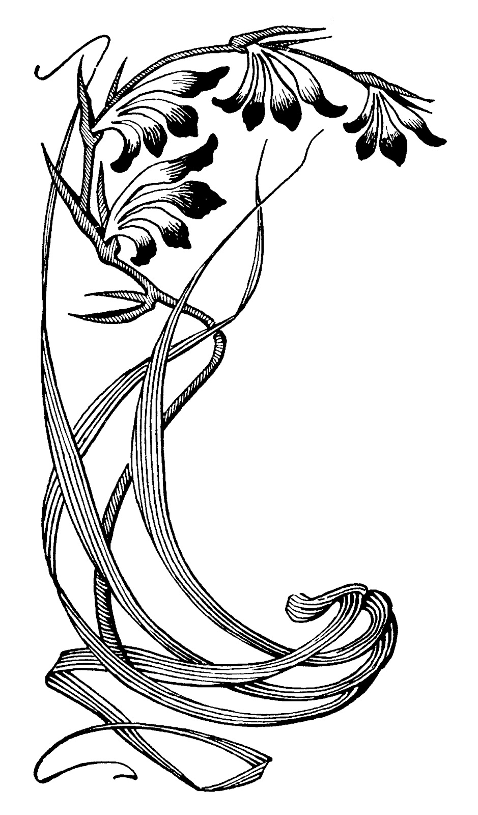 Art Deco Daffodil: Captivating Designs and Inspiration