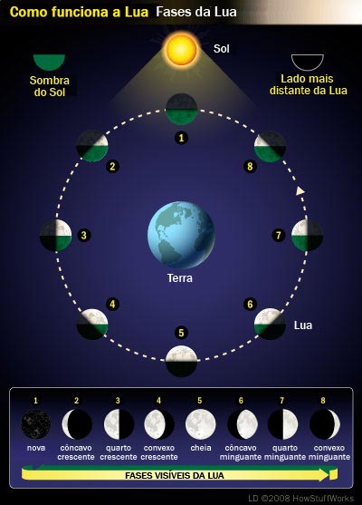 Coletânea de Atividades Educação Básica: fases da lua