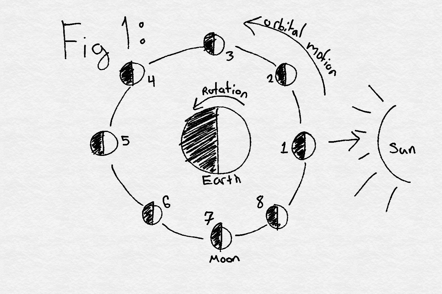 AST115H: Basic Astronomy: Phases of the Moon and Planets