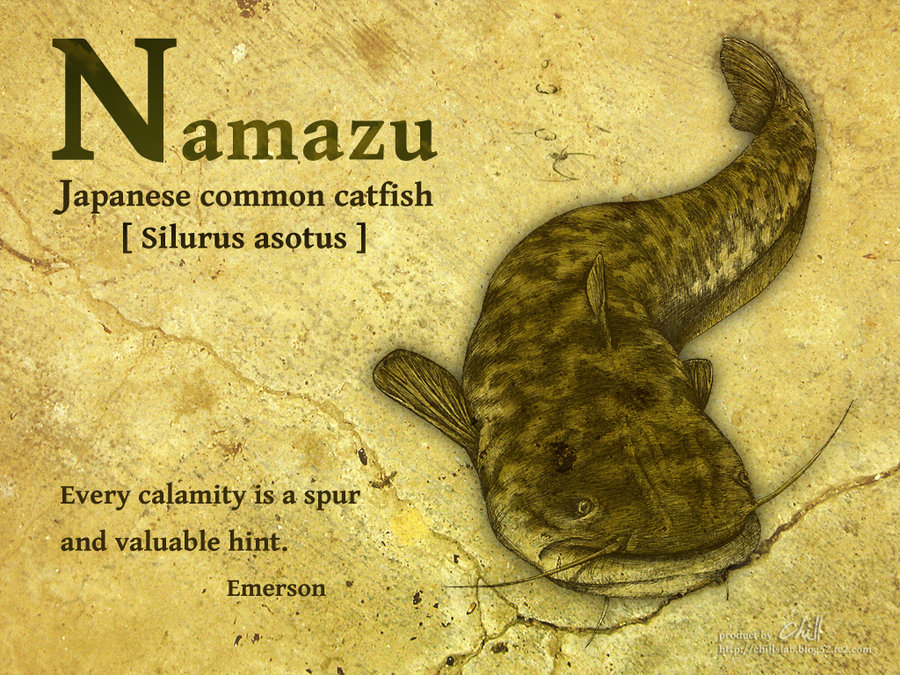 Aim and Achieve: Spirituality, Living beings and beliefs