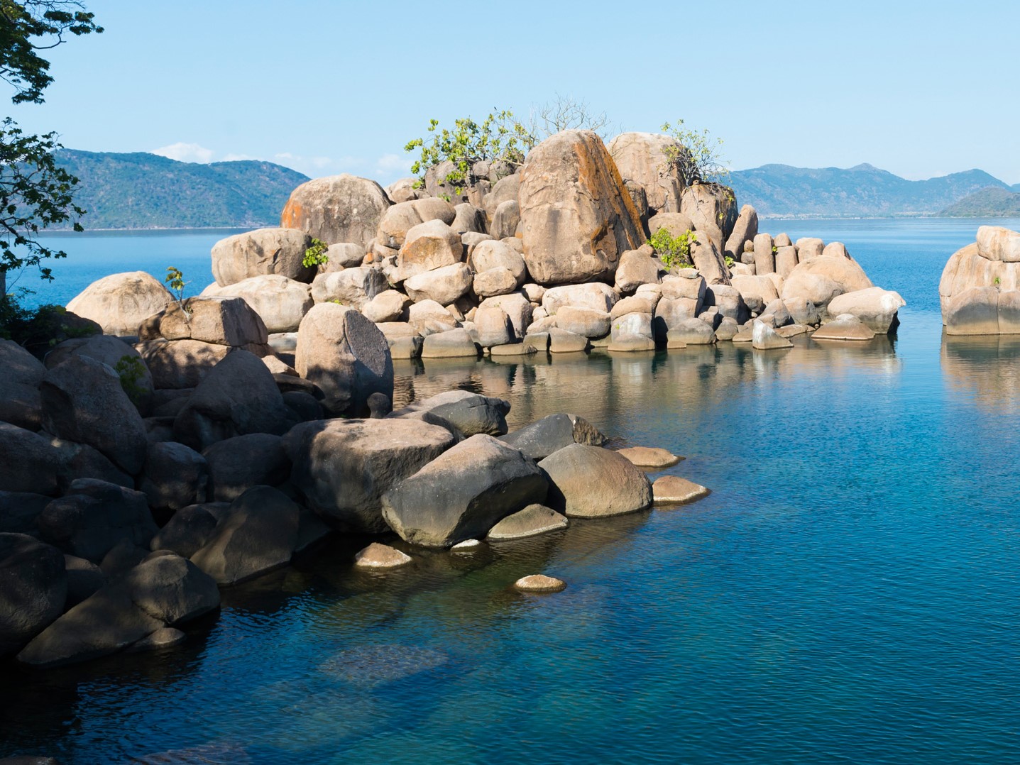 Climi, Piante e Paesaggi dell'Africa | Il Gusto Della Natura