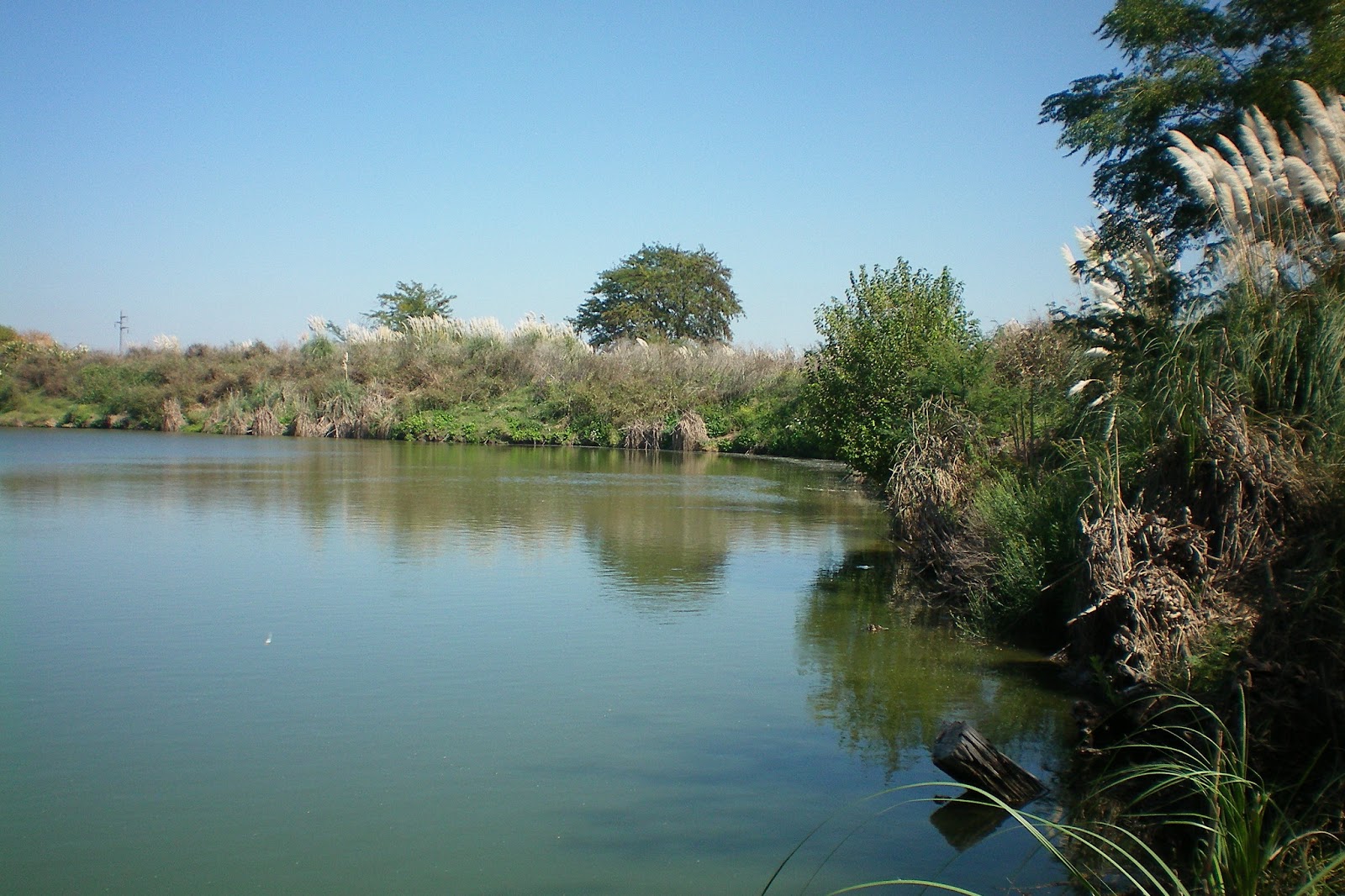 Reserva natural Arroyo Balta
