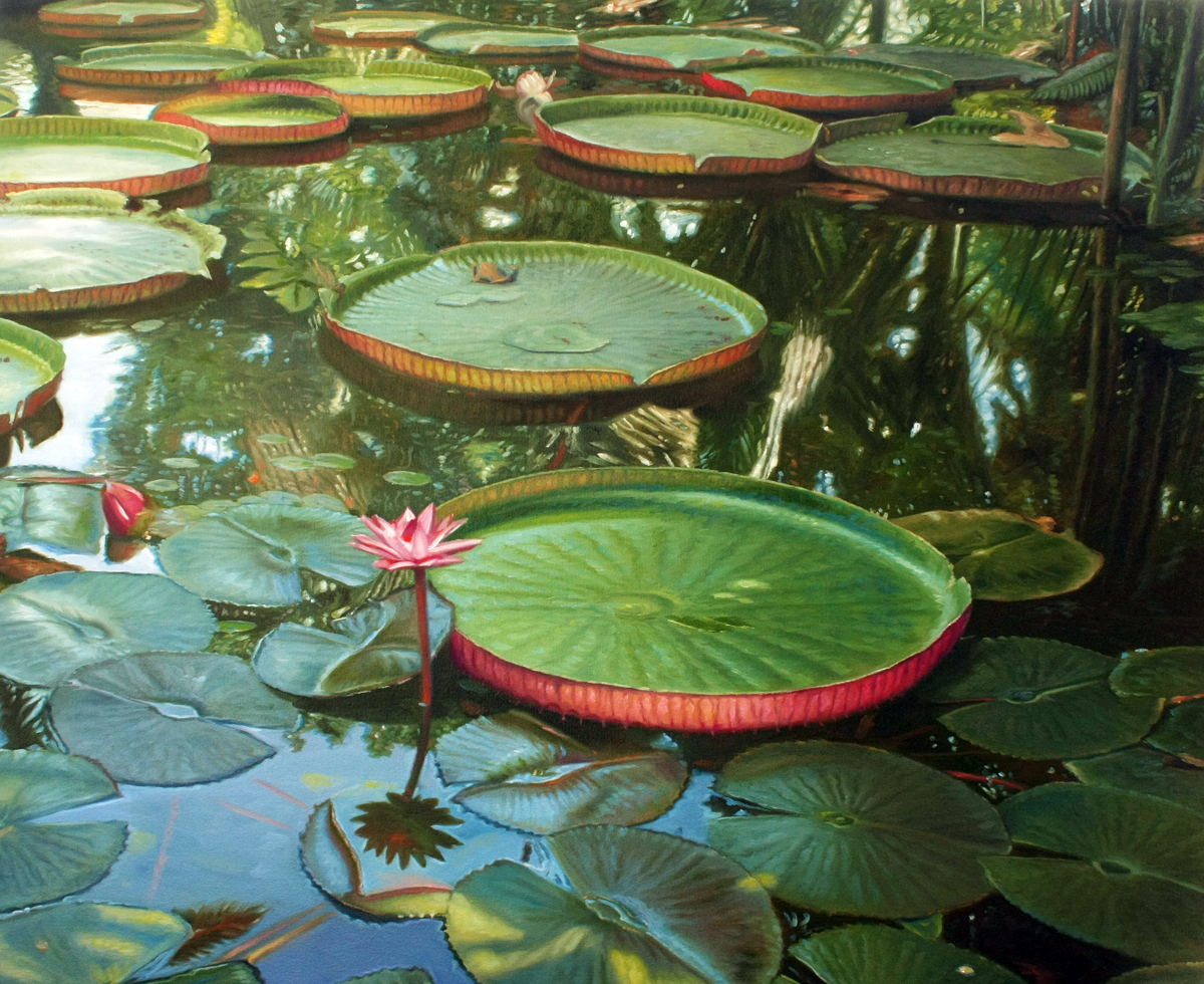 DE ARTE EM ARTE : FOTOGRAFIAS E PINTURAS DA AMAZÔNIA - FAUNA E FLORA