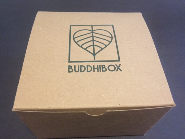 Review Girl - About Me: Buddhi Box