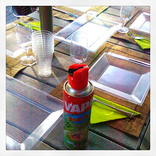 Prodotti IN prova_Vape Open Air Spray | BLOSSOM ZINE BLOG