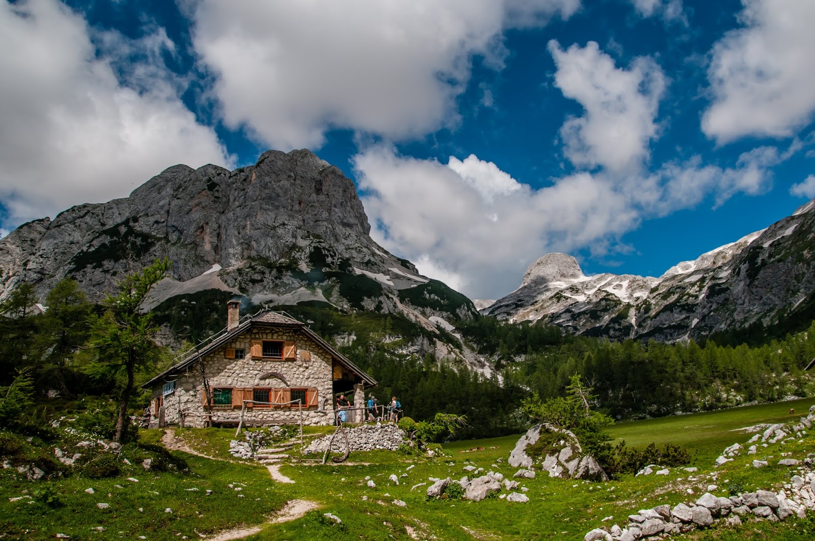 "Važne so zgodbe!!": Velo polje