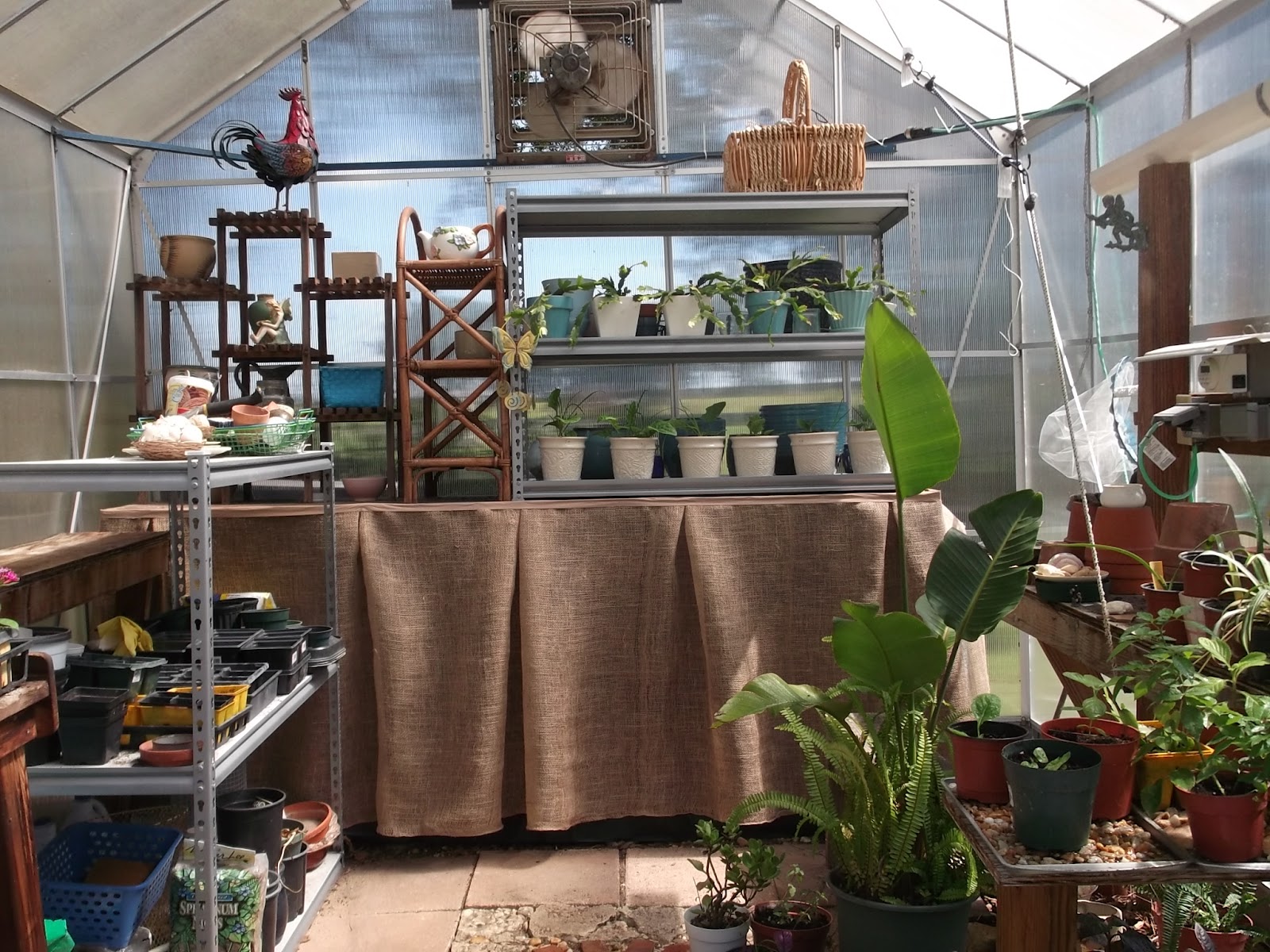Greenhouse decor | Dream Green Playhouse