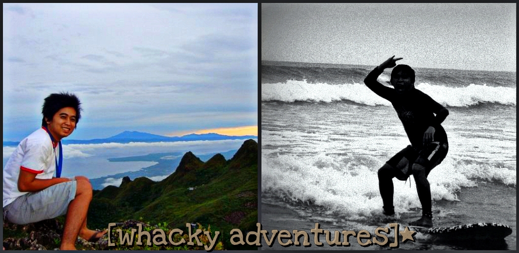Whacky Adventures*: About Whacky Adventures