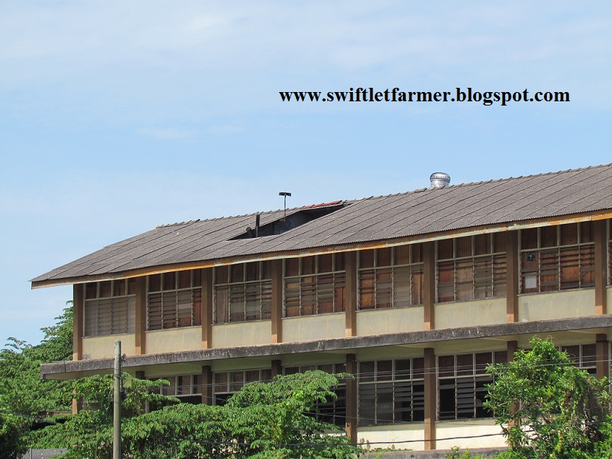 Swiftlet Farming : Swiftlets Farming Equipments, Edible Birds Nest and ...