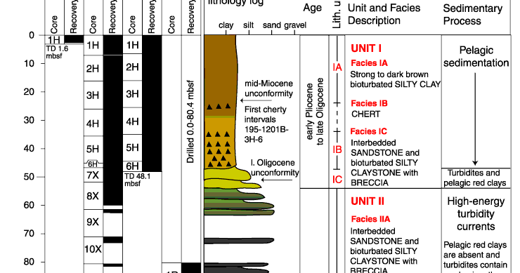 Graphic Log ~ NeededThing