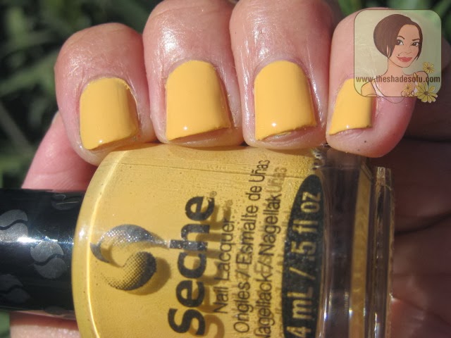 Seche Spring 2014 Perfectly Poised Collection Swatches, Review - The ...