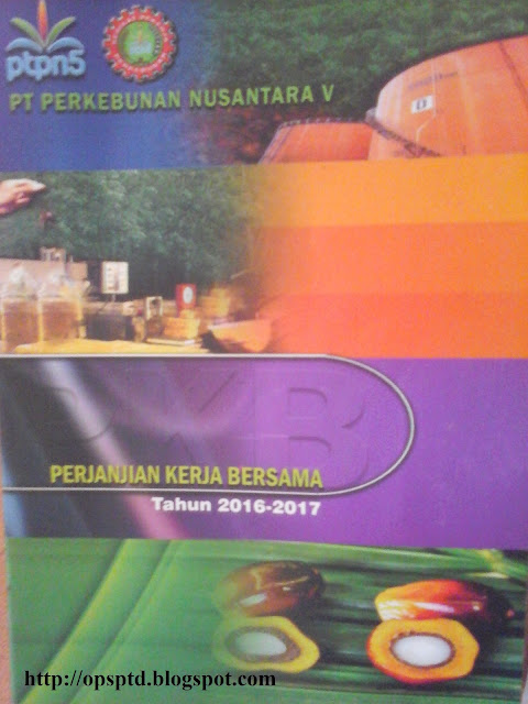 Jadwal Pembayaran Gaji Karyawan PT Perkebunan Nusantara V Tahun Ini-2017