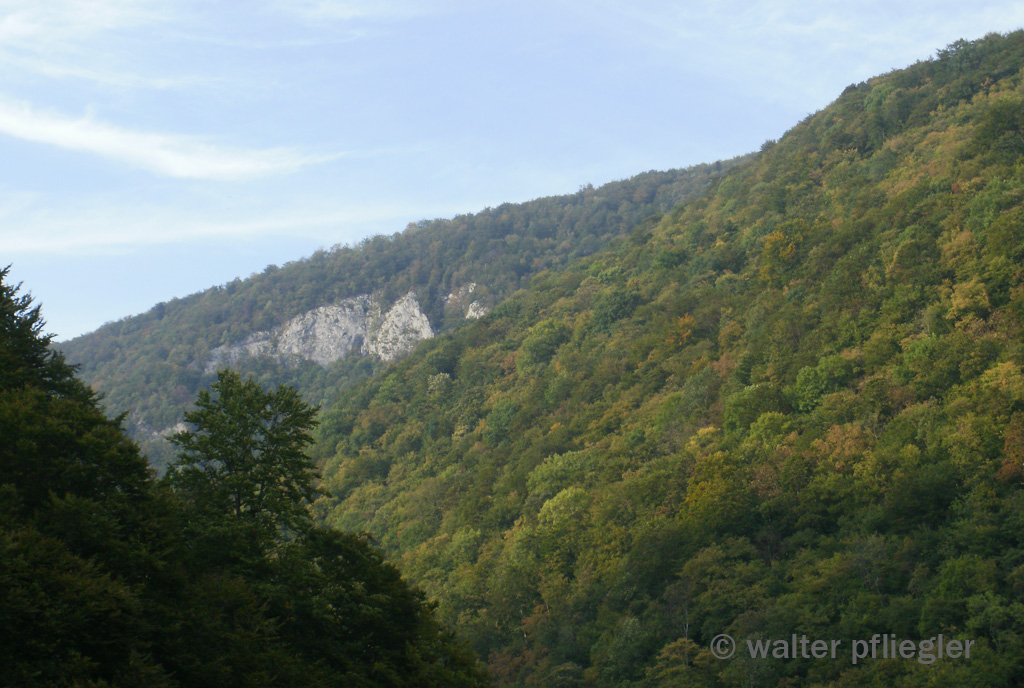 Nature photos from an Amateur Naturalist: Bihor Mountains, Romania ...