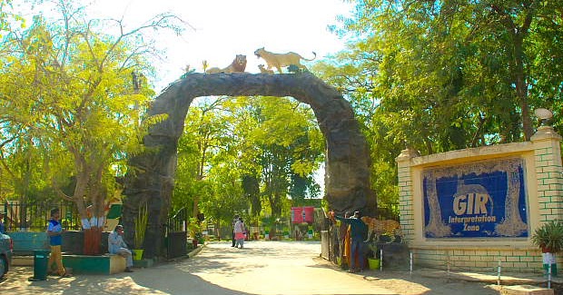 Beauty Of Gir Forest Gujarat.: Devalia Safari Park at Gir Forest