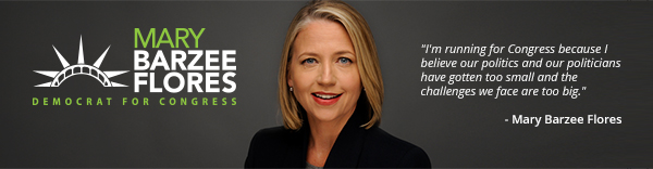 Southern District of Florida Blog: Mary Barzee Flores is running for ...