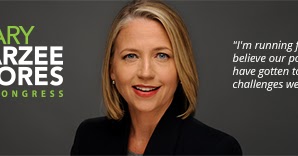 Southern District of Florida Blog: Mary Barzee Flores is running for ...