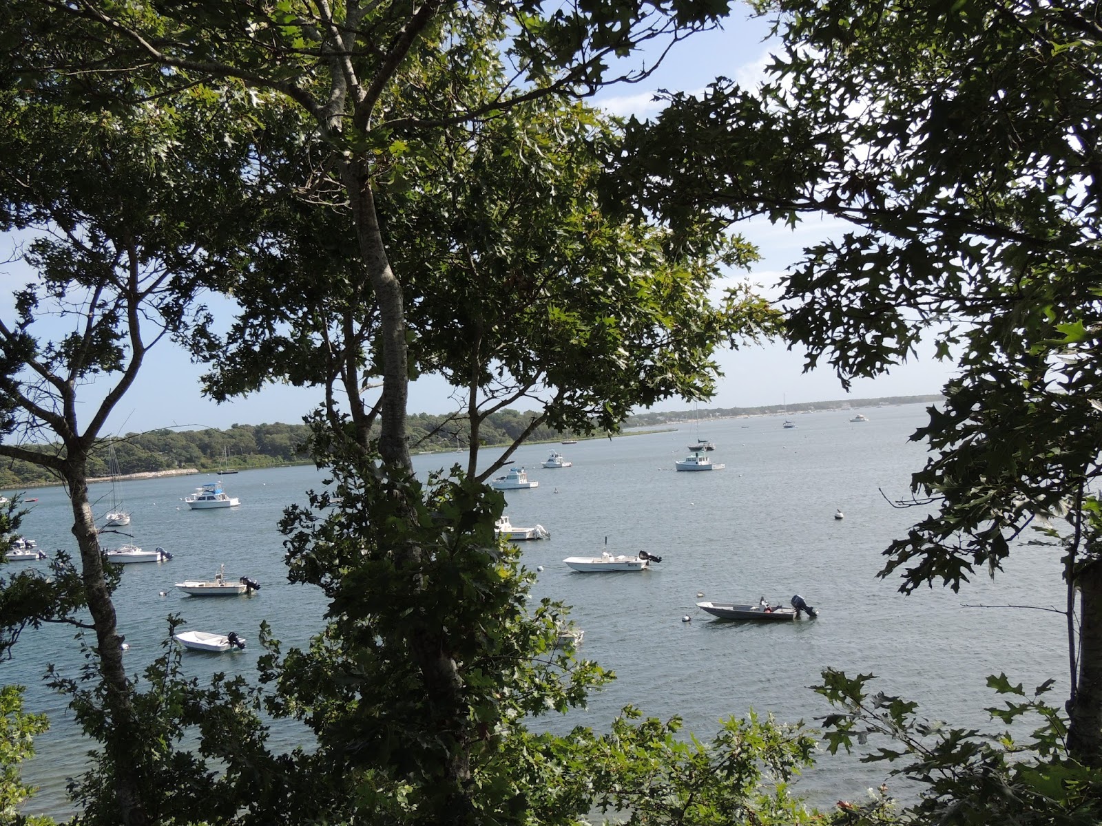 From Camping to Glamping: Cape Cod Waquoit Bay Reserve