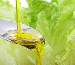 Lettuce oil
