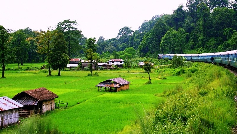 West Bengal Travel Guide: Dooars-The Gateway To Bhutan