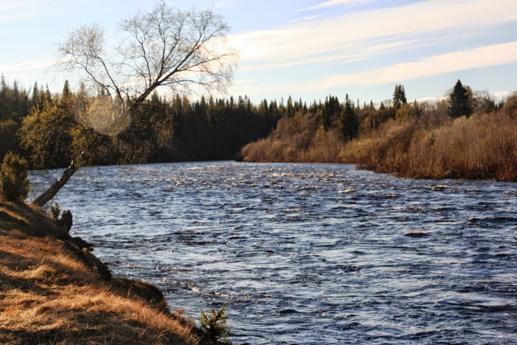 Roxtons Varzuga Blog: Pana and Kitza