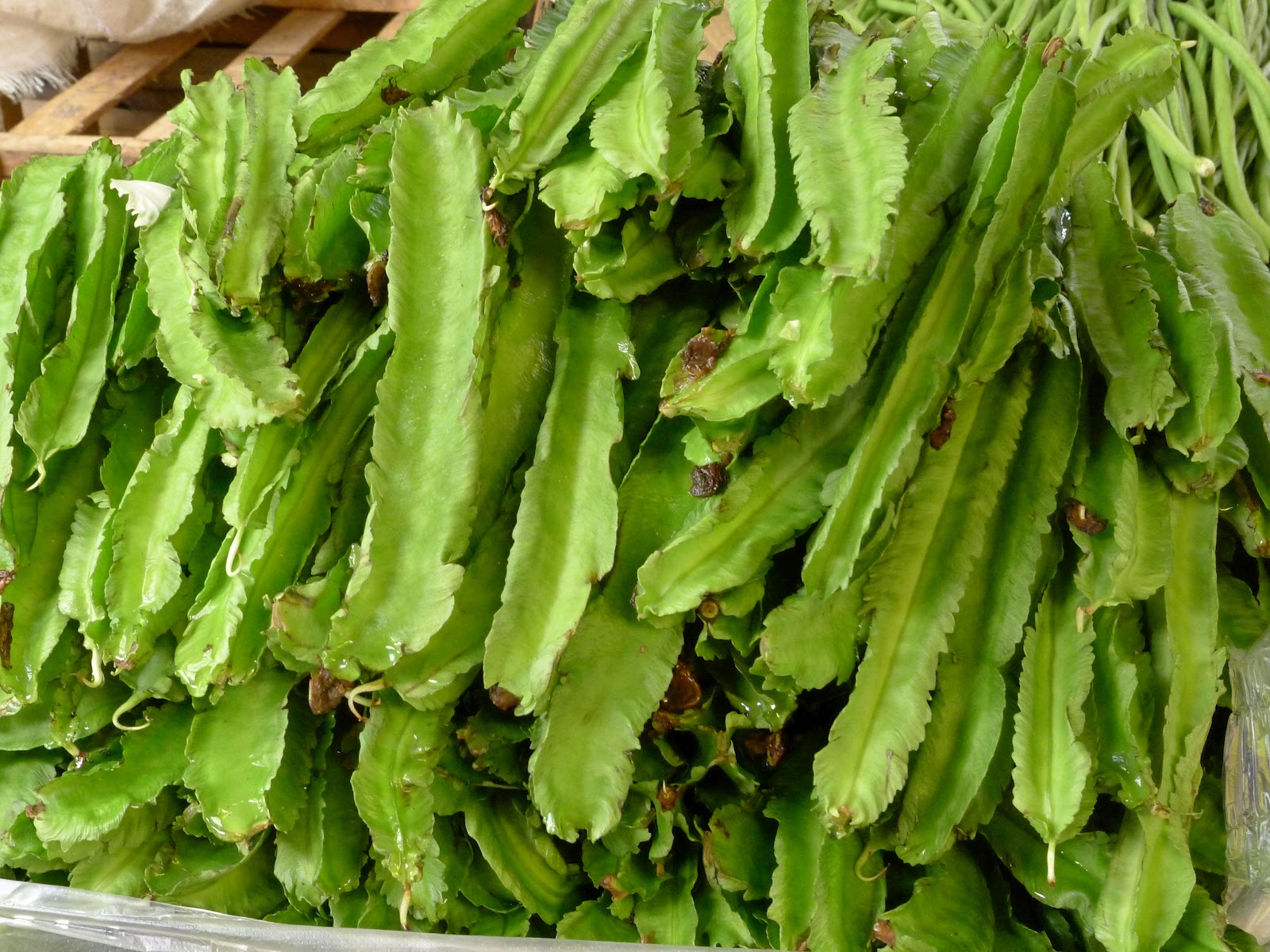 adventures in sustainability: Vegetables at the Legazpi City Market ...