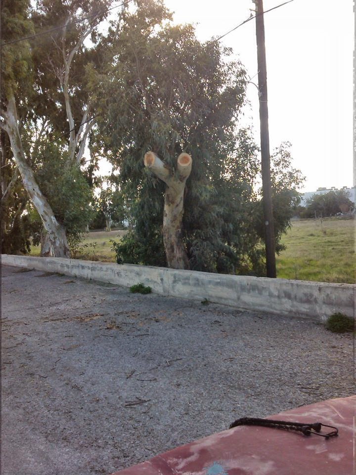 Ετσι....για να περάσει η ώρα και όχι μόνο !!!!!!: ΠΕΤΣΟΚΟΨΑΝ ΤΟΥΣ ...