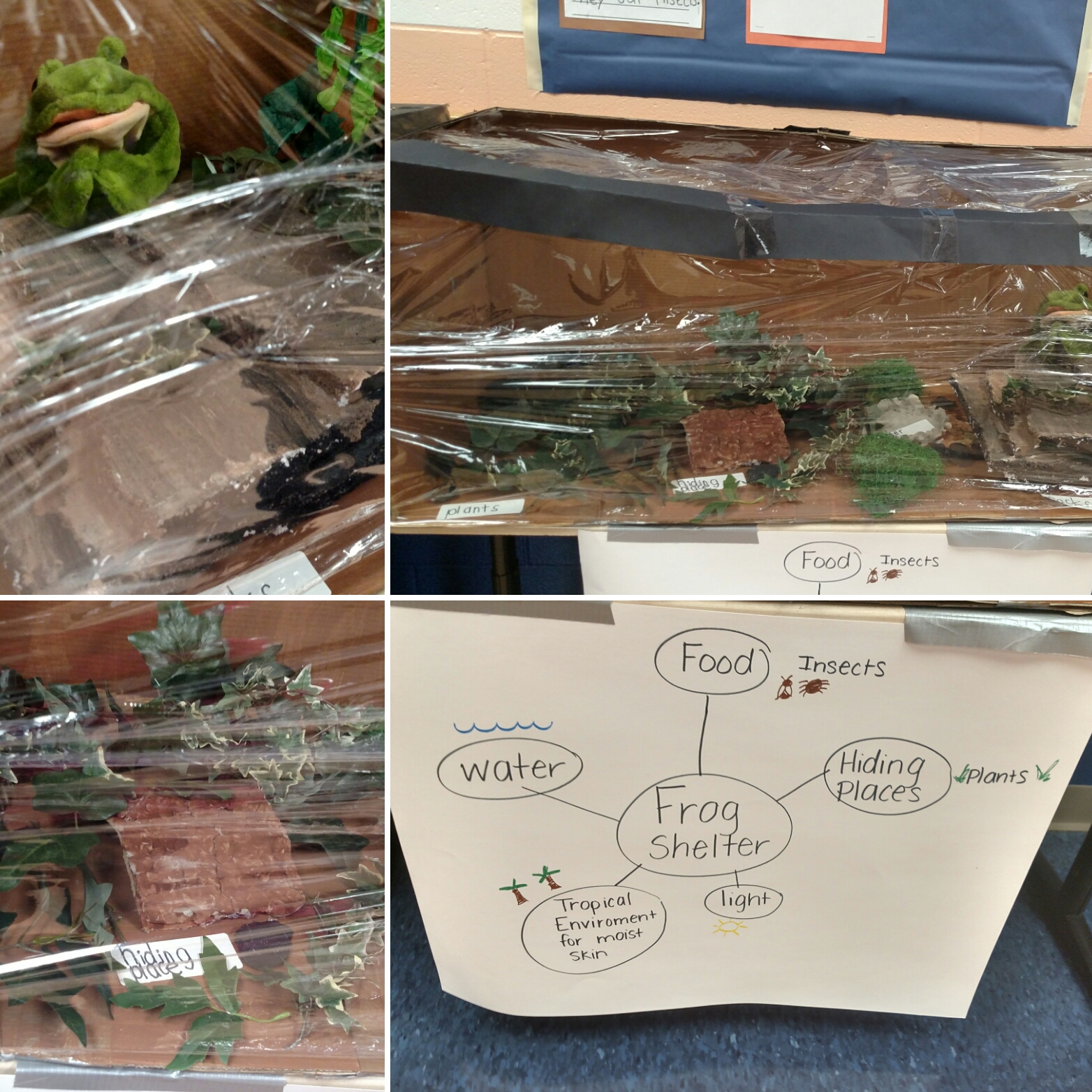 Child Centered Kindergarten- Ms. Rogers and Ms. West's Co-Teaching ...