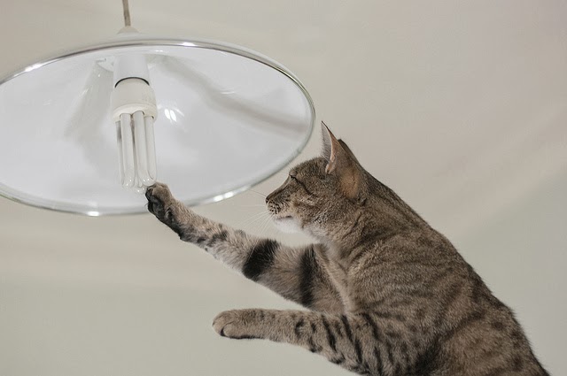 Leading Light: December 2013