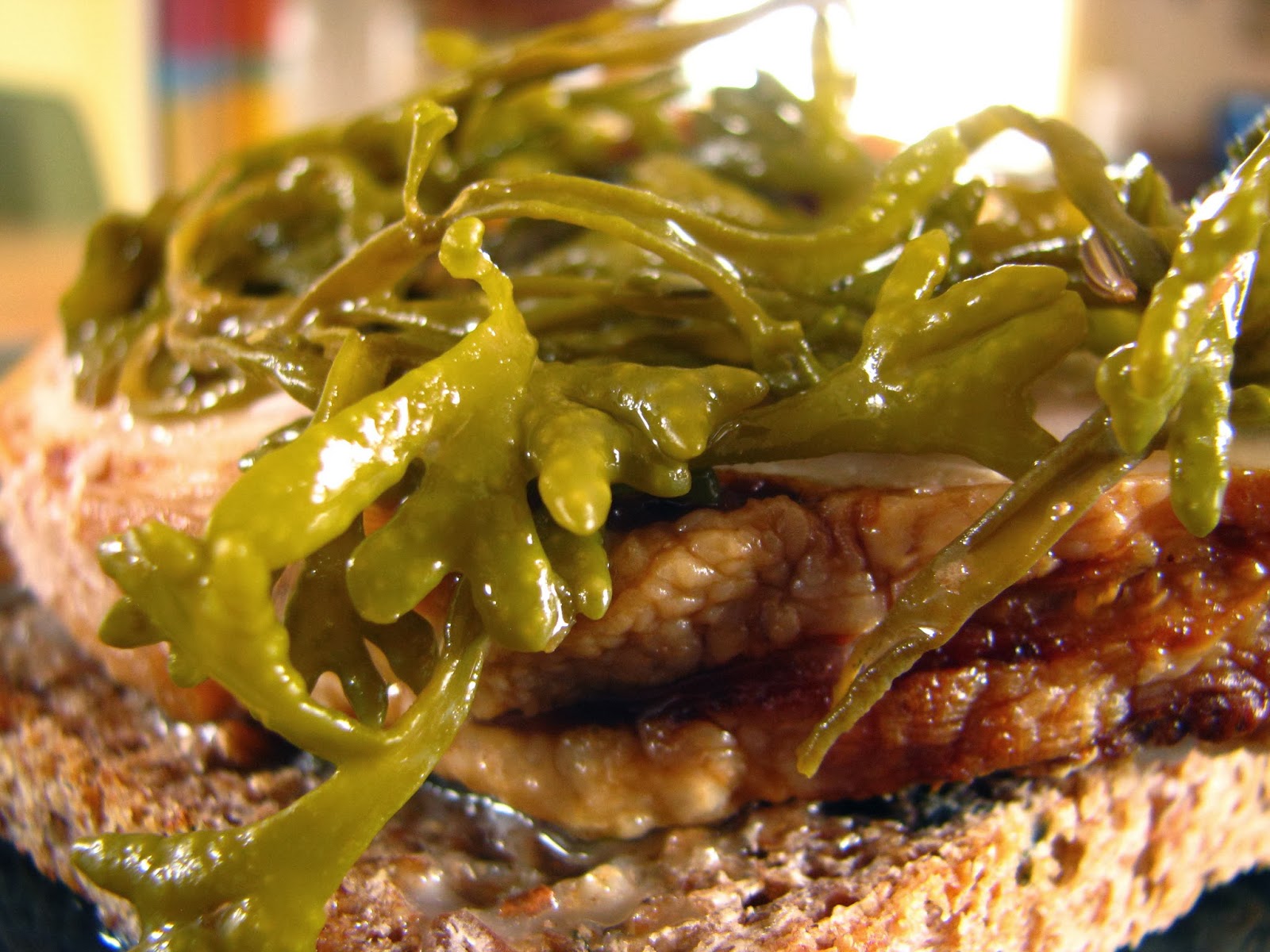 Tang Mad Fra Hav: Ribbensteg på rugbrød smurt med tangfedt, belagt med ...