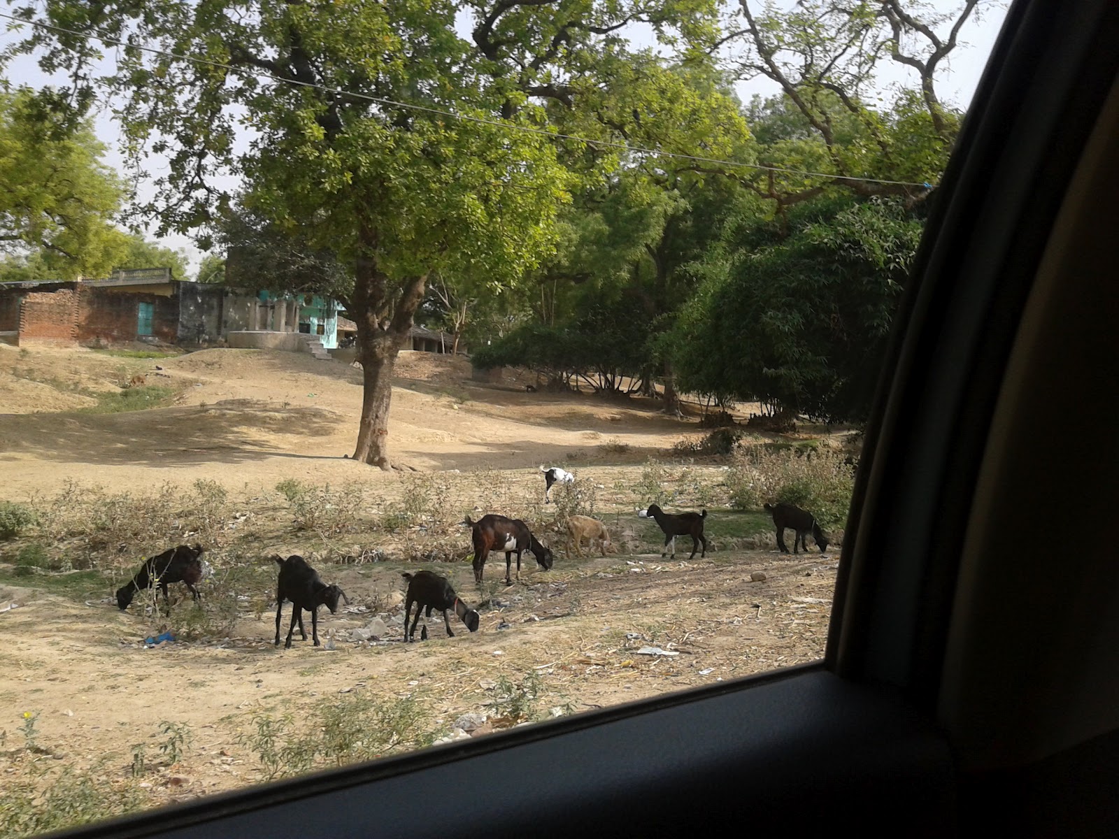 Wirasat - Pargana Chail- Allahabad: BadaGaon - Pargana Chail ( Baragaon)