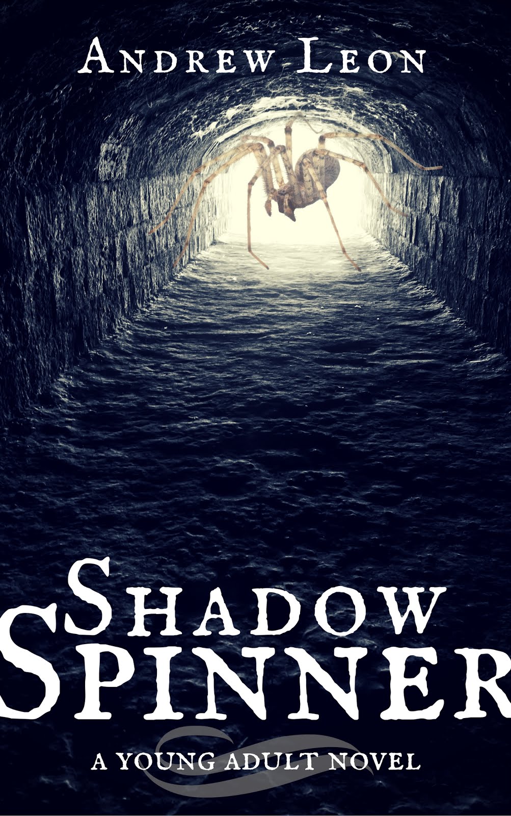 StrangePegs: Shadow Spinner