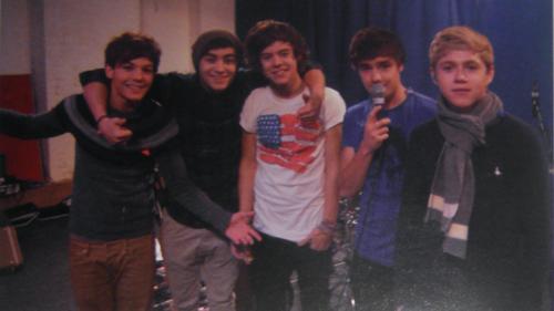 One Direction Girls ♥: Facts