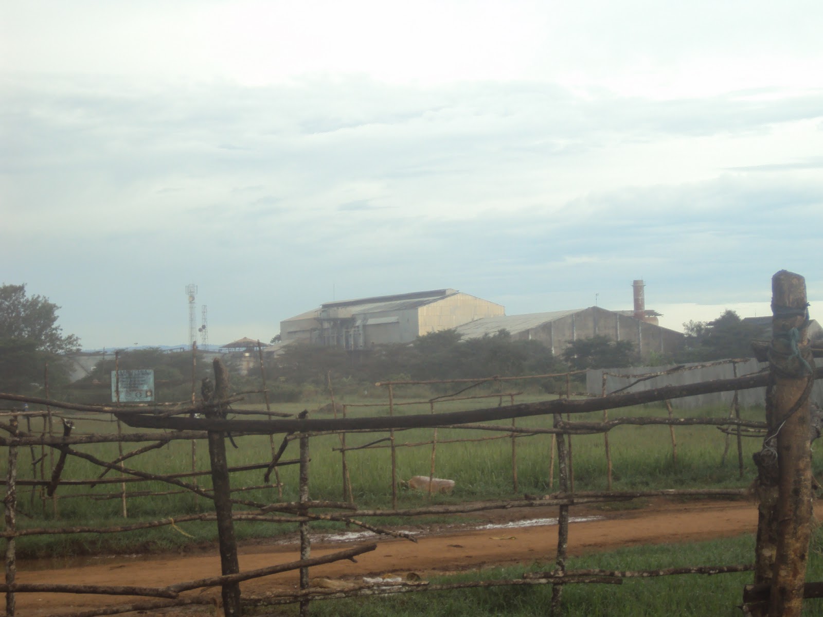 Bondei, Sambaa & Zigua: kagera sugar...kagera sukari